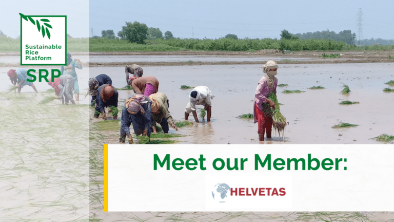 Meet Our Member Helvetas Swiss Intercooperation Srp