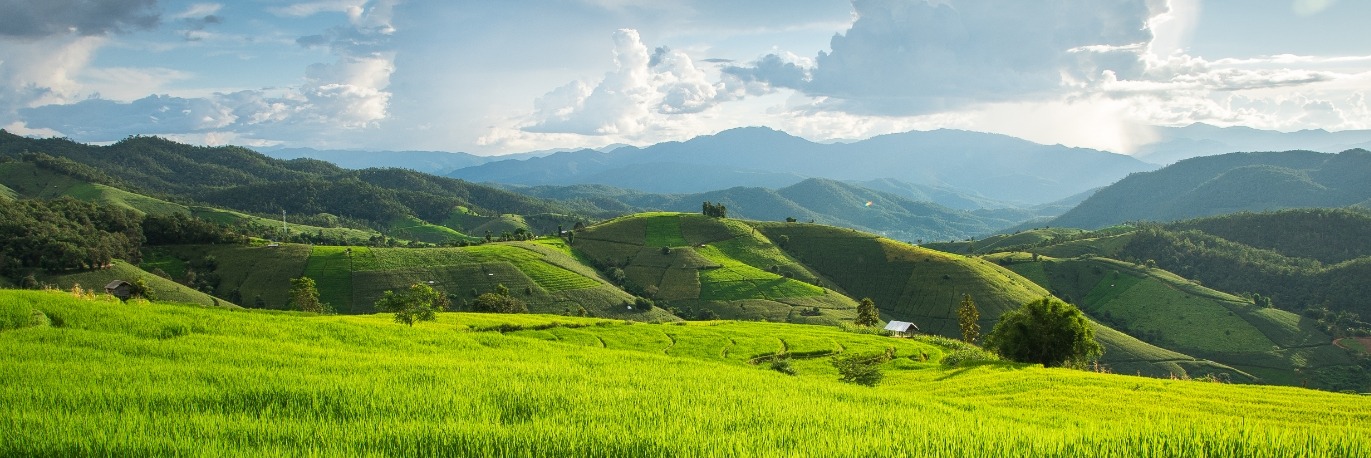 Our Solutions - Sustainable Rice Platform (SRP)