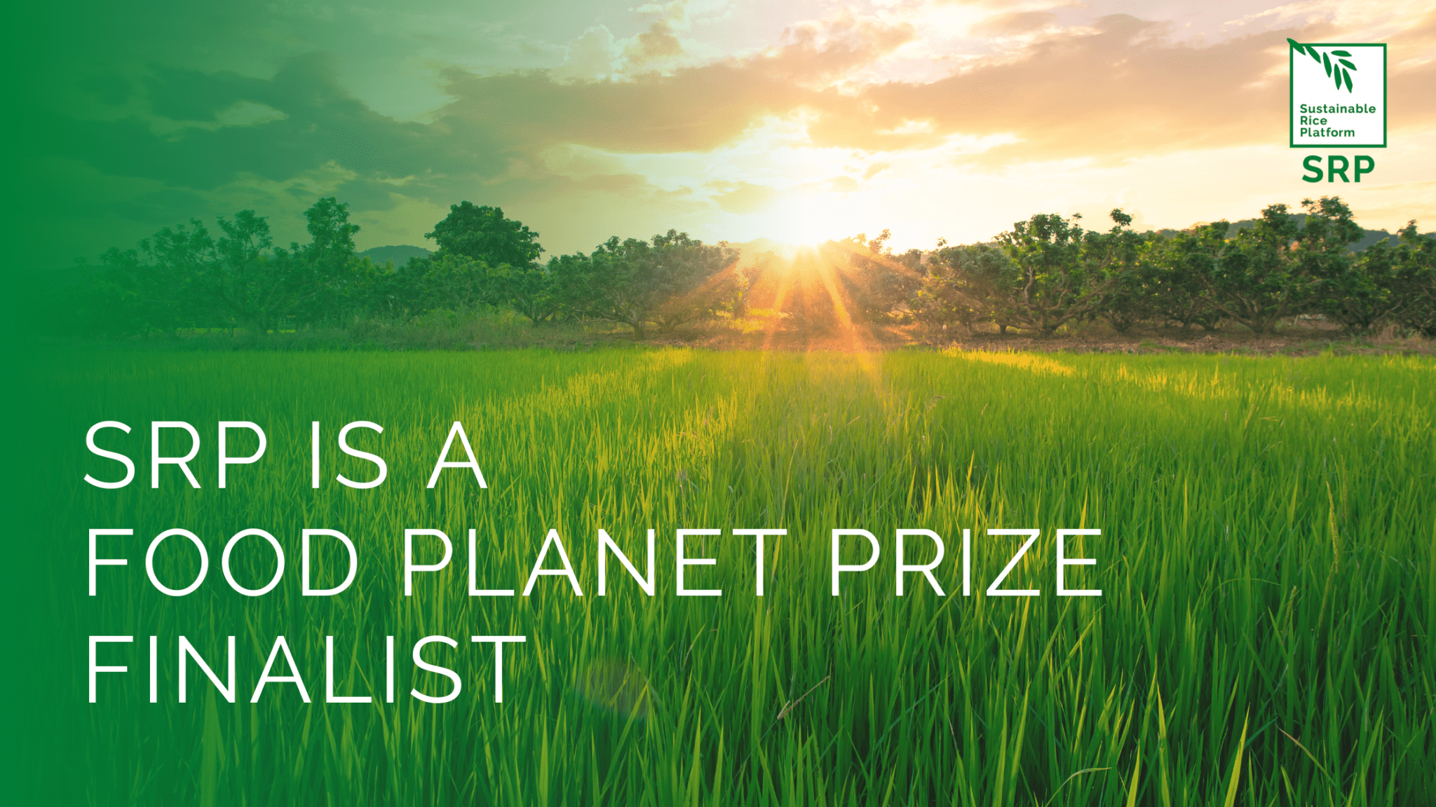 Sustainable Rice Platform shortlisted for the Food Planet Prize 2023 ...