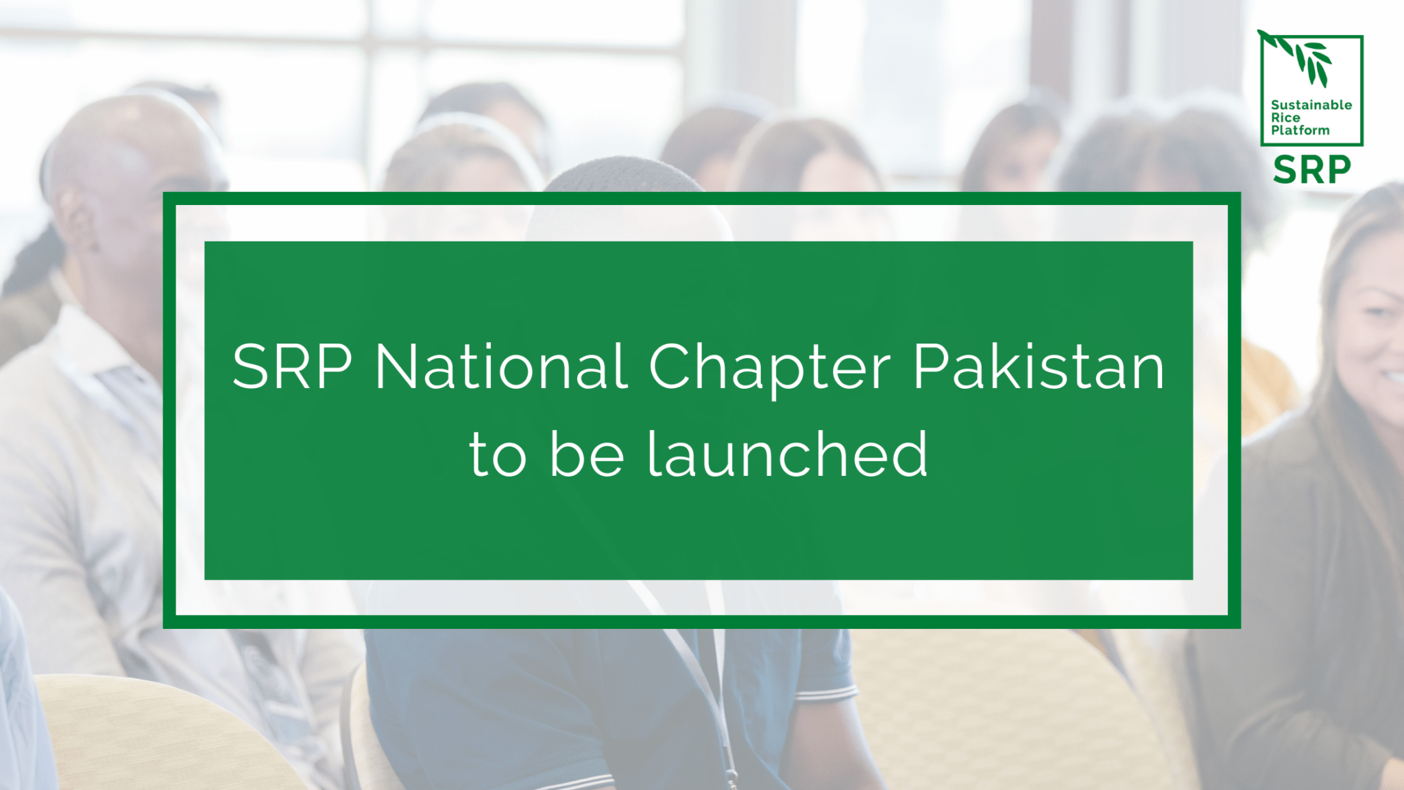 SRP National Chapter Pakistan to be launched – Sustainable Rice ...