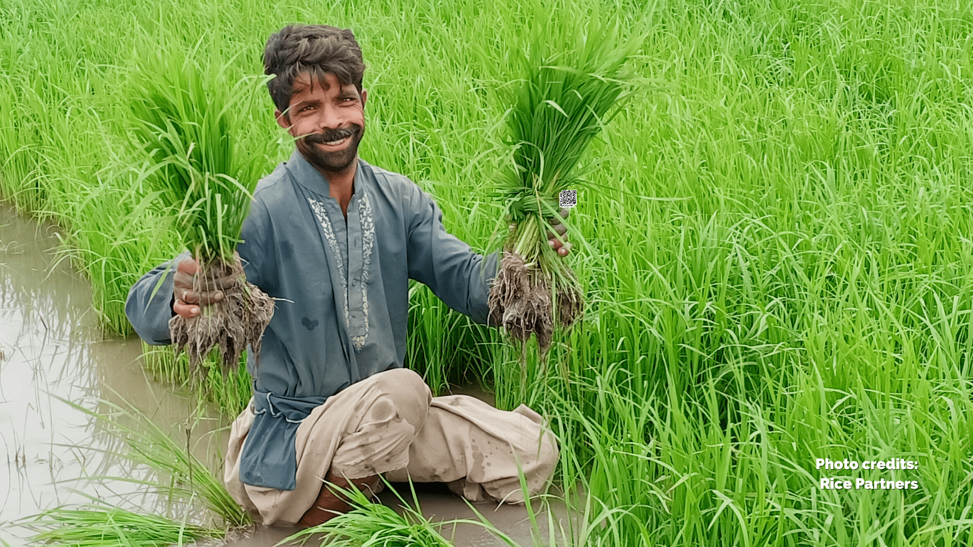 Winners of SRP Photo Contest to inspire consumers to choose sustainable ...