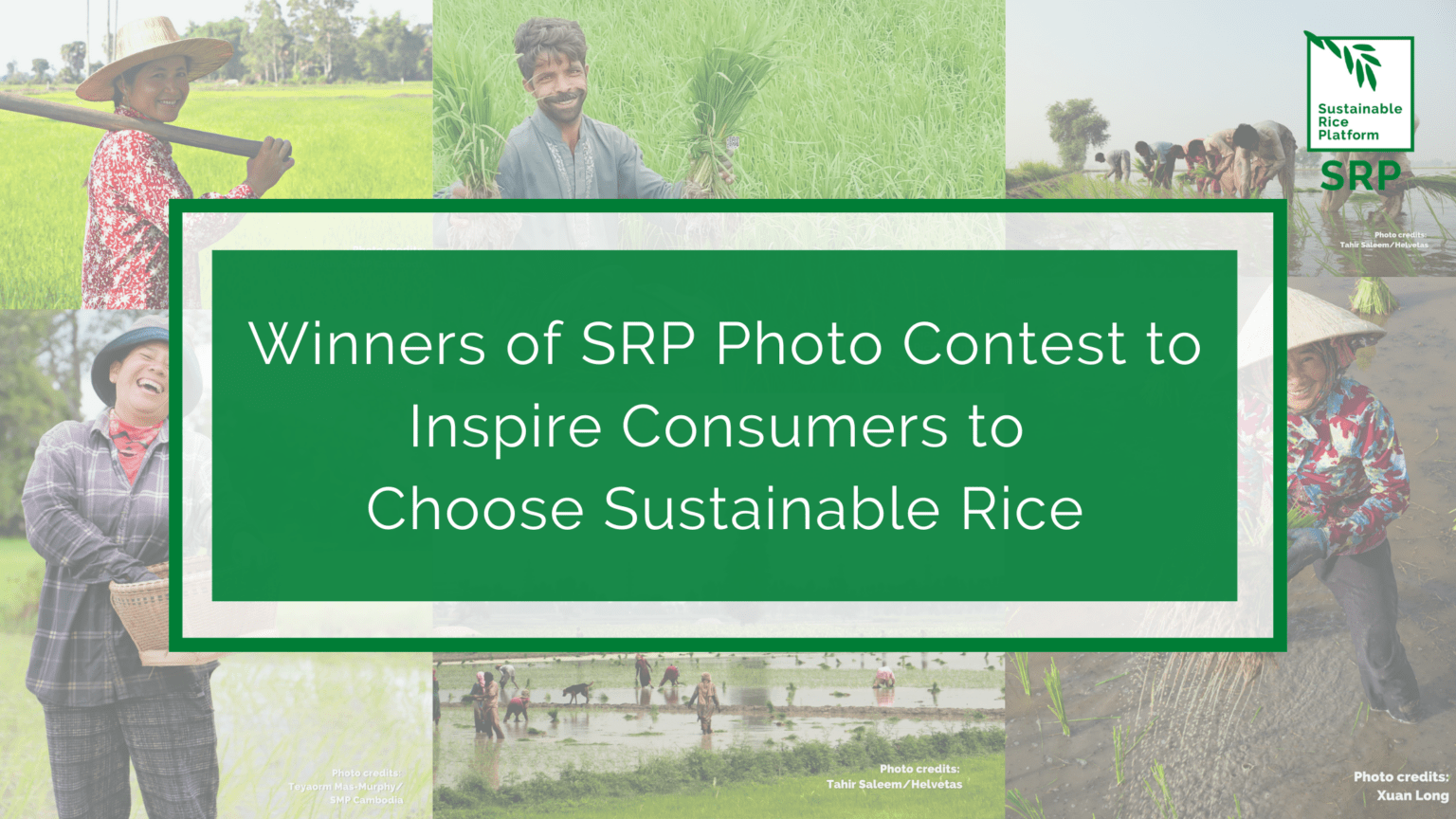 Winners of SRP Photo Contest to inspire consumers to choose sustainable ...