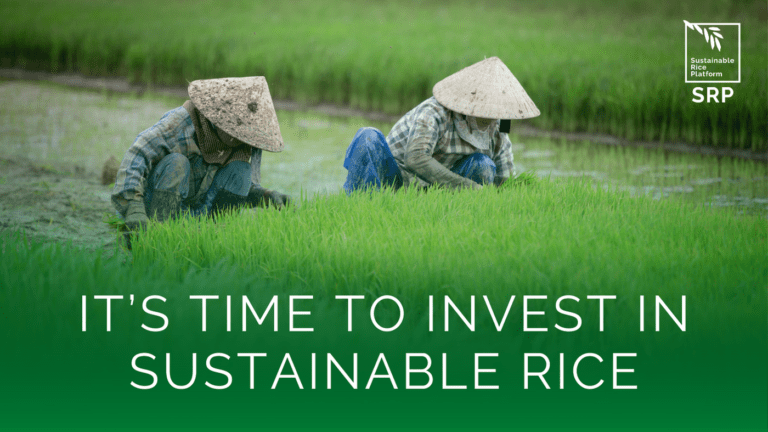 It’s Time to Invest in Sustainable Rice – Sustainable Rice Platform (SRP)