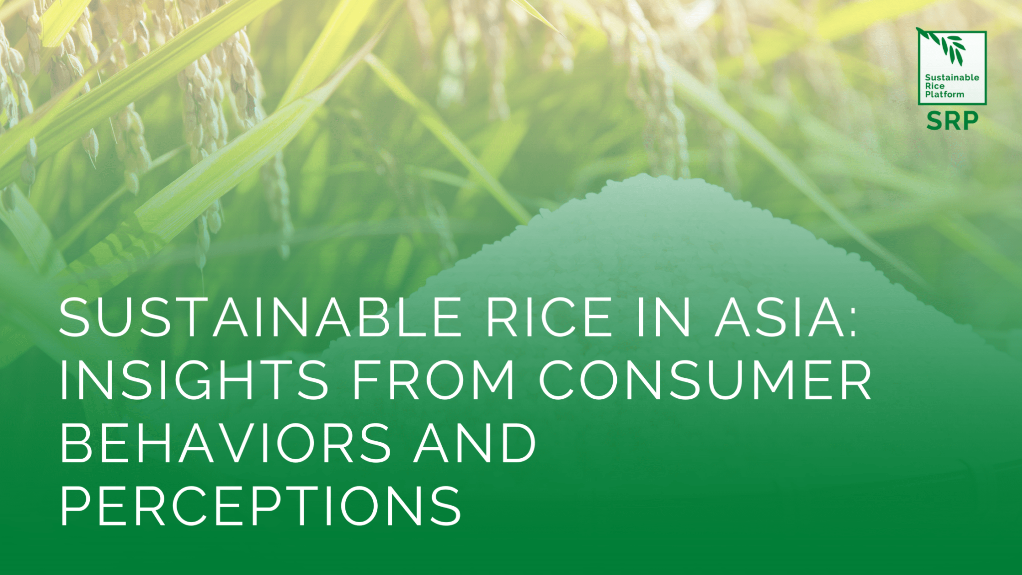 Sustainable Rice in Asia: Insights from Consumer Behaviors and ...