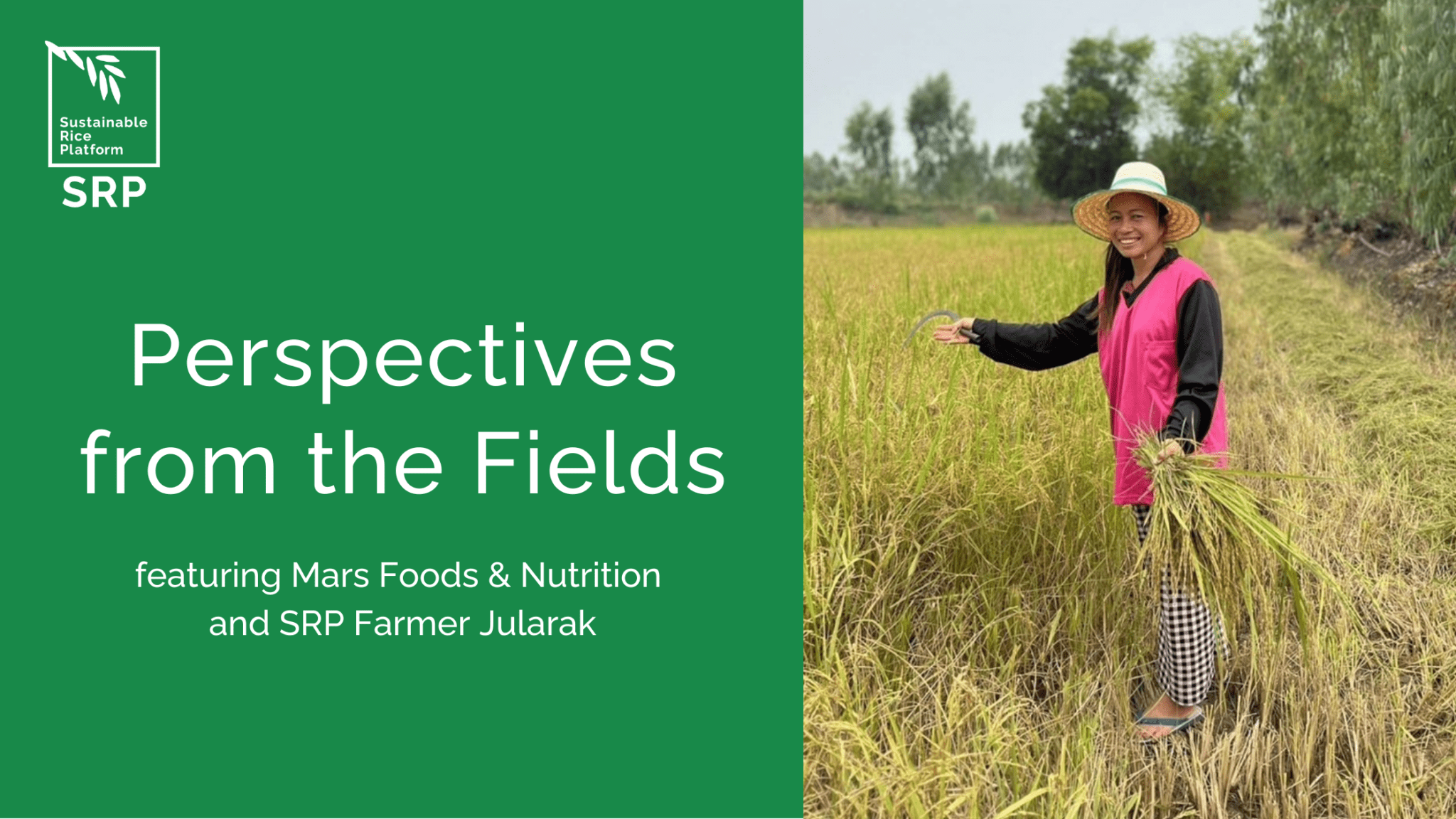 Introducing “Perspectives from the Fields” – stories of SRP farmers ...
