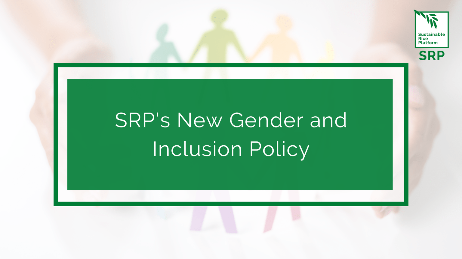 Announcing SRP’s New Gender and Inclusion Policy – Sustainable Rice ...