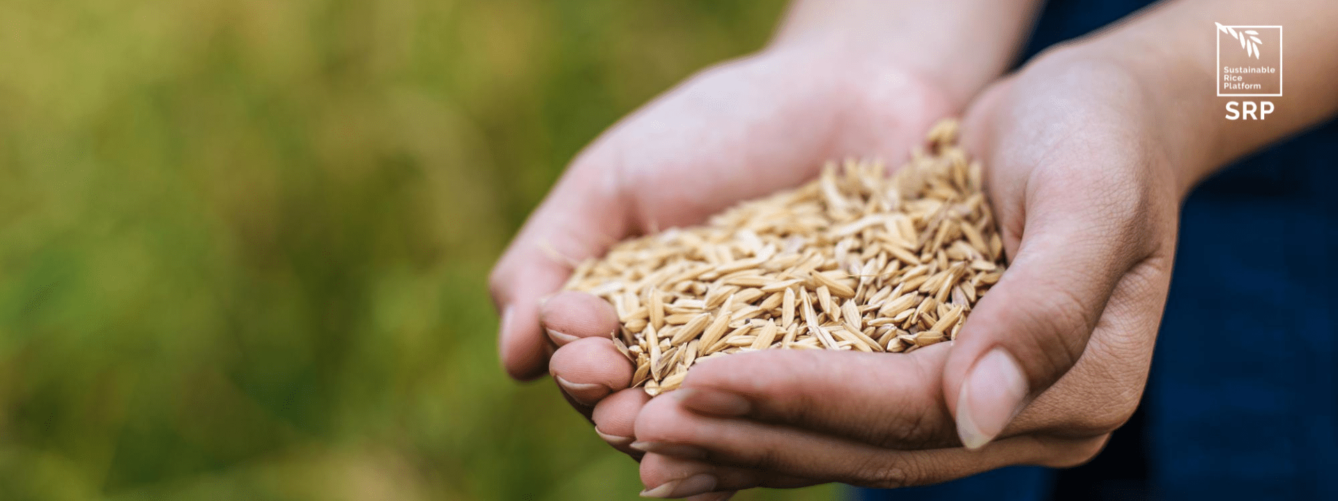 3rd Global Sustainable Rice Conference and Exhibition 2024 ...