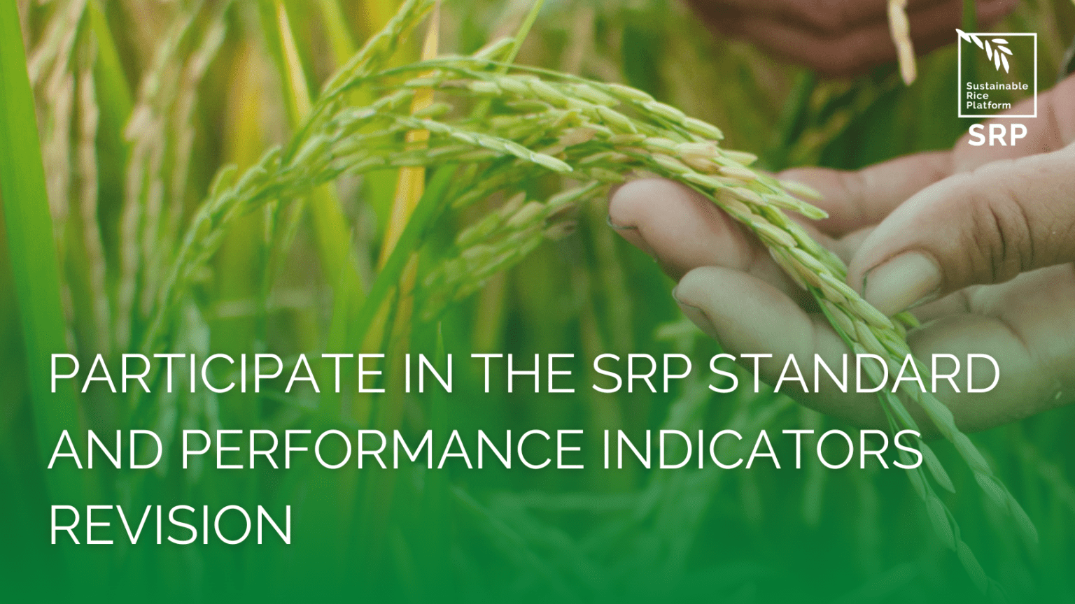 Participate in the SRP Standard and Performance Indicators Revision ...