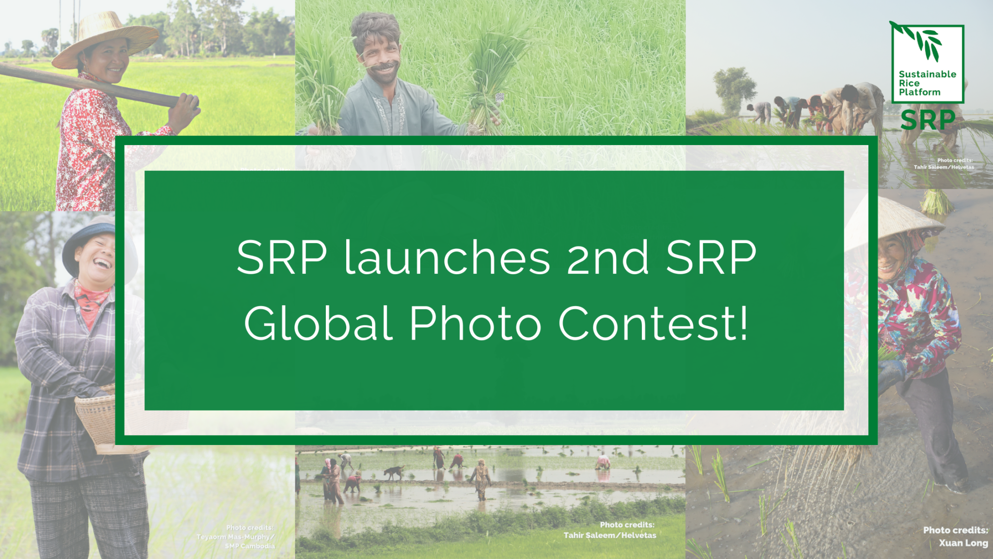 Join the 2nd SRP Global Photo Contest! – Sustainable Rice Platform (SRP)