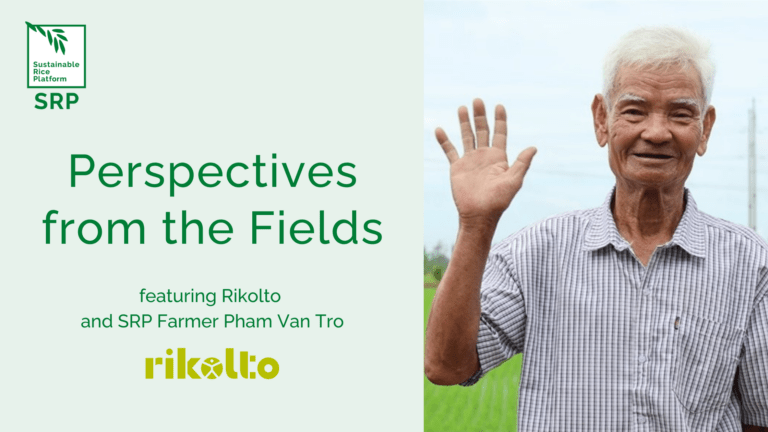 Perspectives from the Fields: Towards Sustainable Rice Production In ...