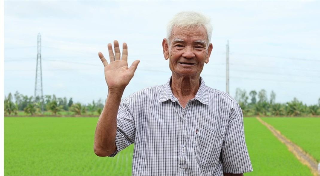Perspectives from the Fields: Towards Sustainable Rice Production In ...