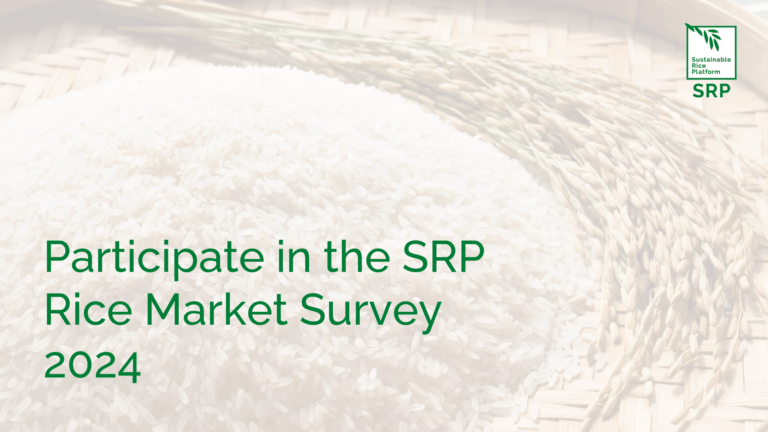 How sustainable rice production plays a key role in food security ...