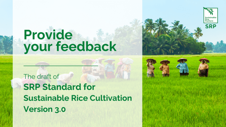 Public Consultation Now Open: Draft of the SRP Standard for Sustainable ...