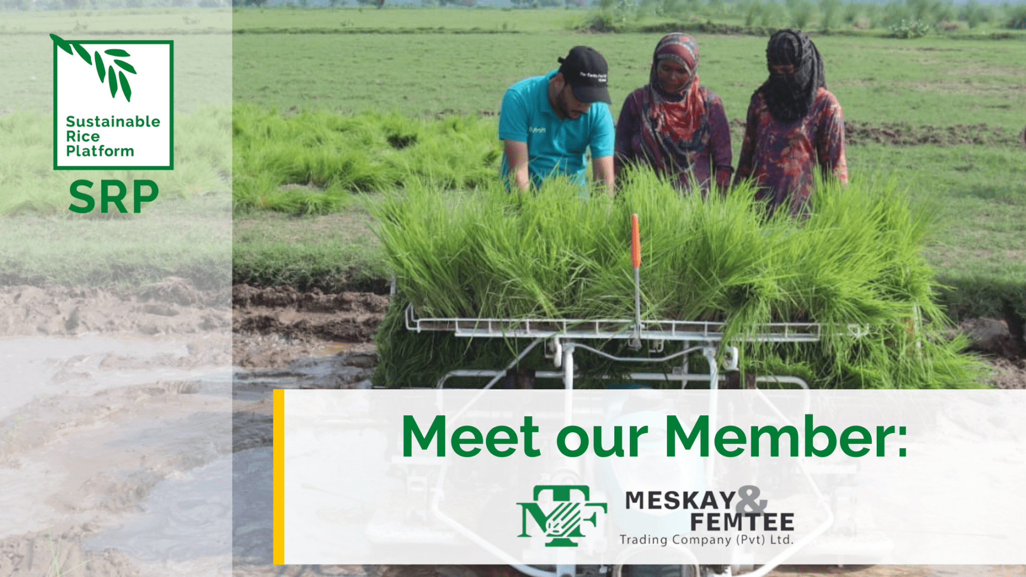 Meet our member: Meskay & Femtee Trading Company (Pvt) Ltd ...