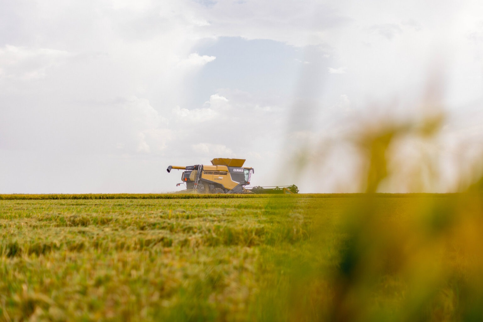 SRP MEMBER SUCCESS STORY: AGRICAPTURE – Sustainable Rice Platform (SRP)