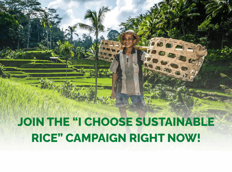 Join the “I Choose Sustainable Rice” Campaign – Sustainable Rice ...
