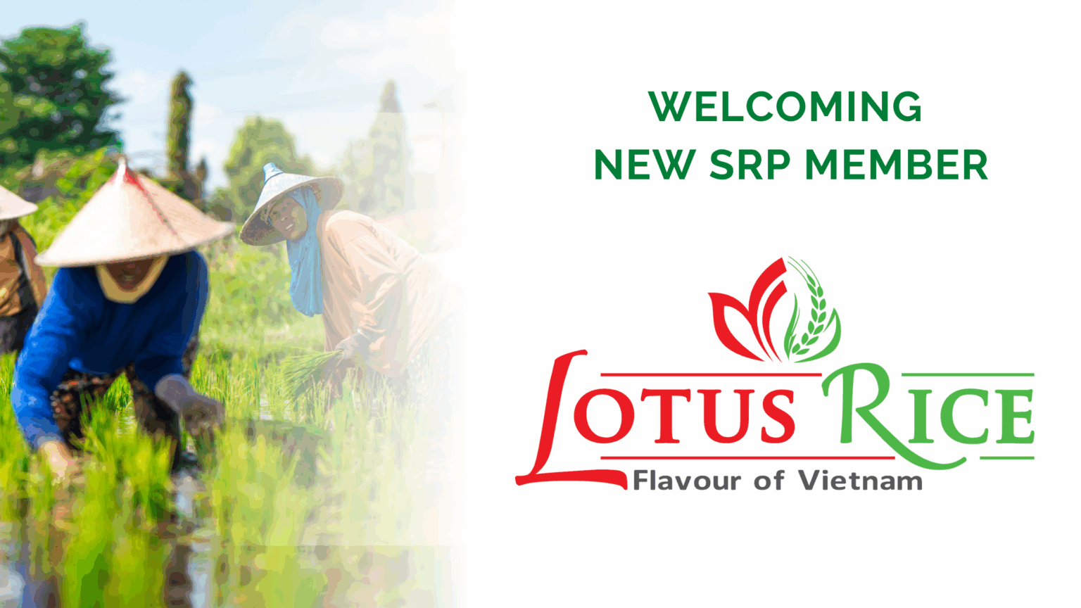Welcome new SRP member – Sustainable Rice Platform (SRP)