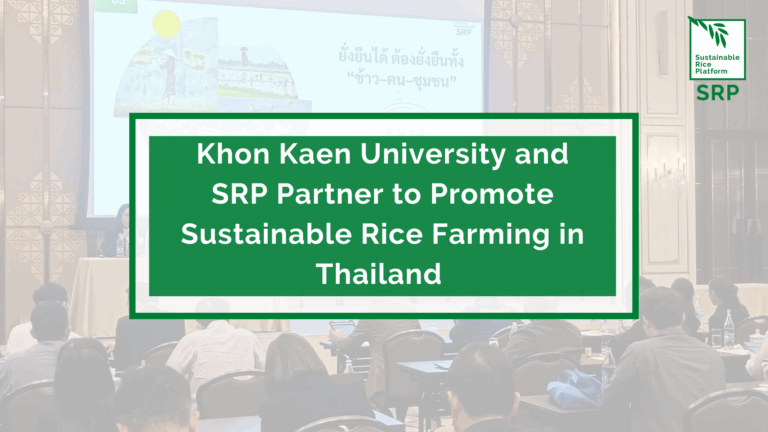 Khon Kaen University and SRP Collaborate to Scale Sustainable Rice in ...