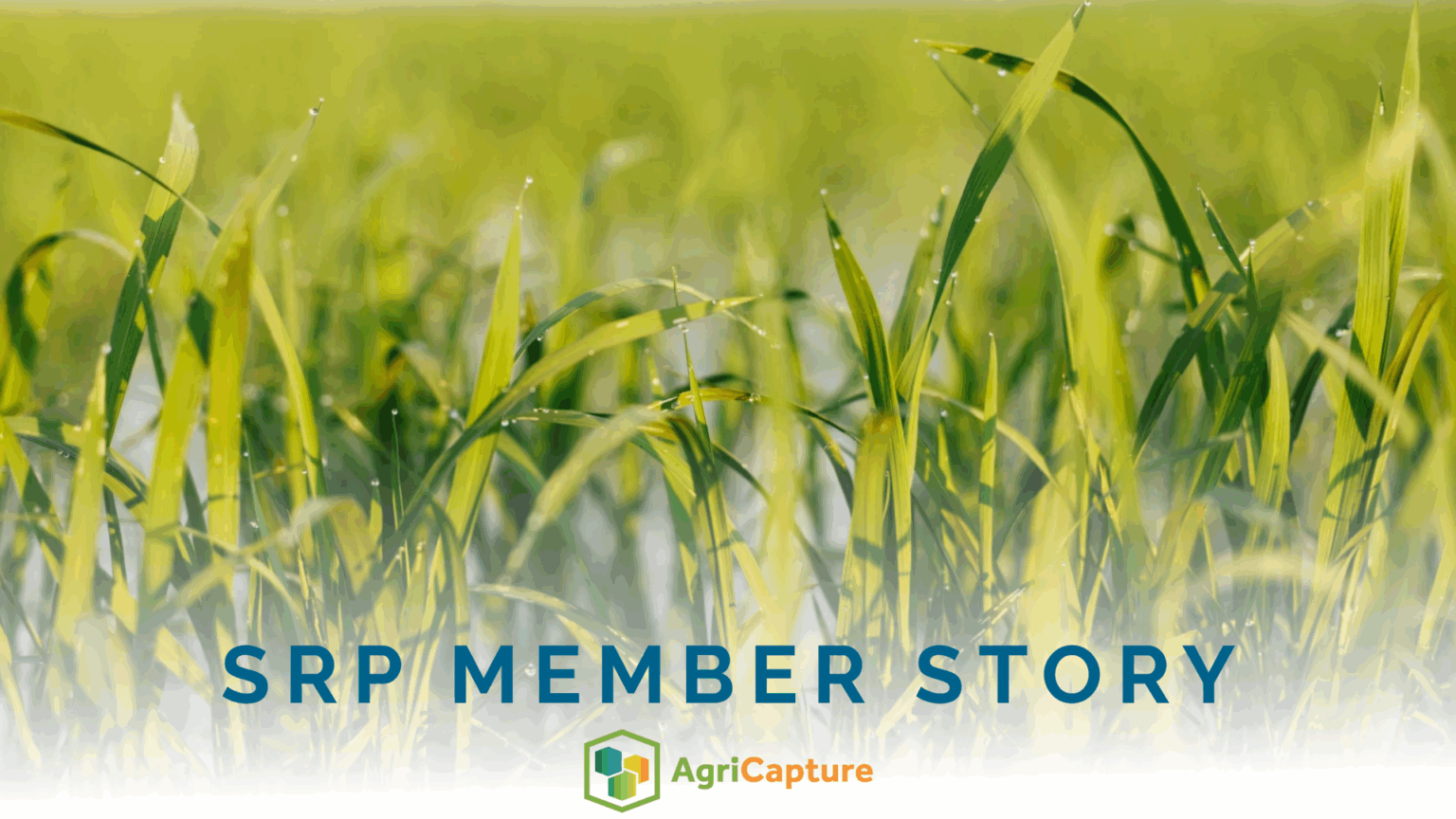 SRP MEMBER SUCCESS STORY: AGRICAPTURE – Sustainable Rice Platform (SRP)