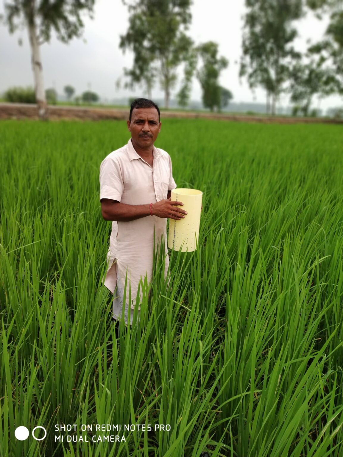 LT Foods and SRP Pilot Climate-Smart Rice Methodology to Advance Low ...