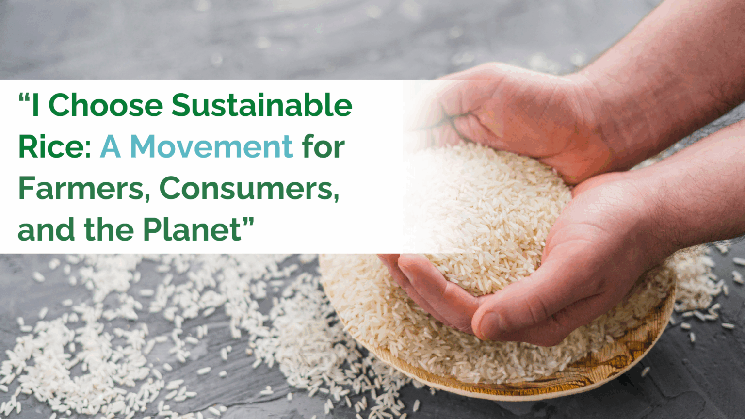 How sustainable rice production plays a key role in food security ...