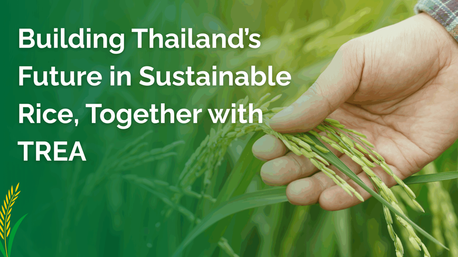 Sustainable Rice Platform (SRP) Strengthens Collaboration with Thai ...