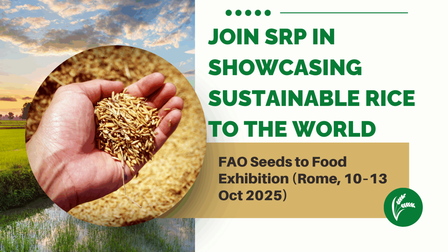 How sustainable rice production plays a key role in food security ...