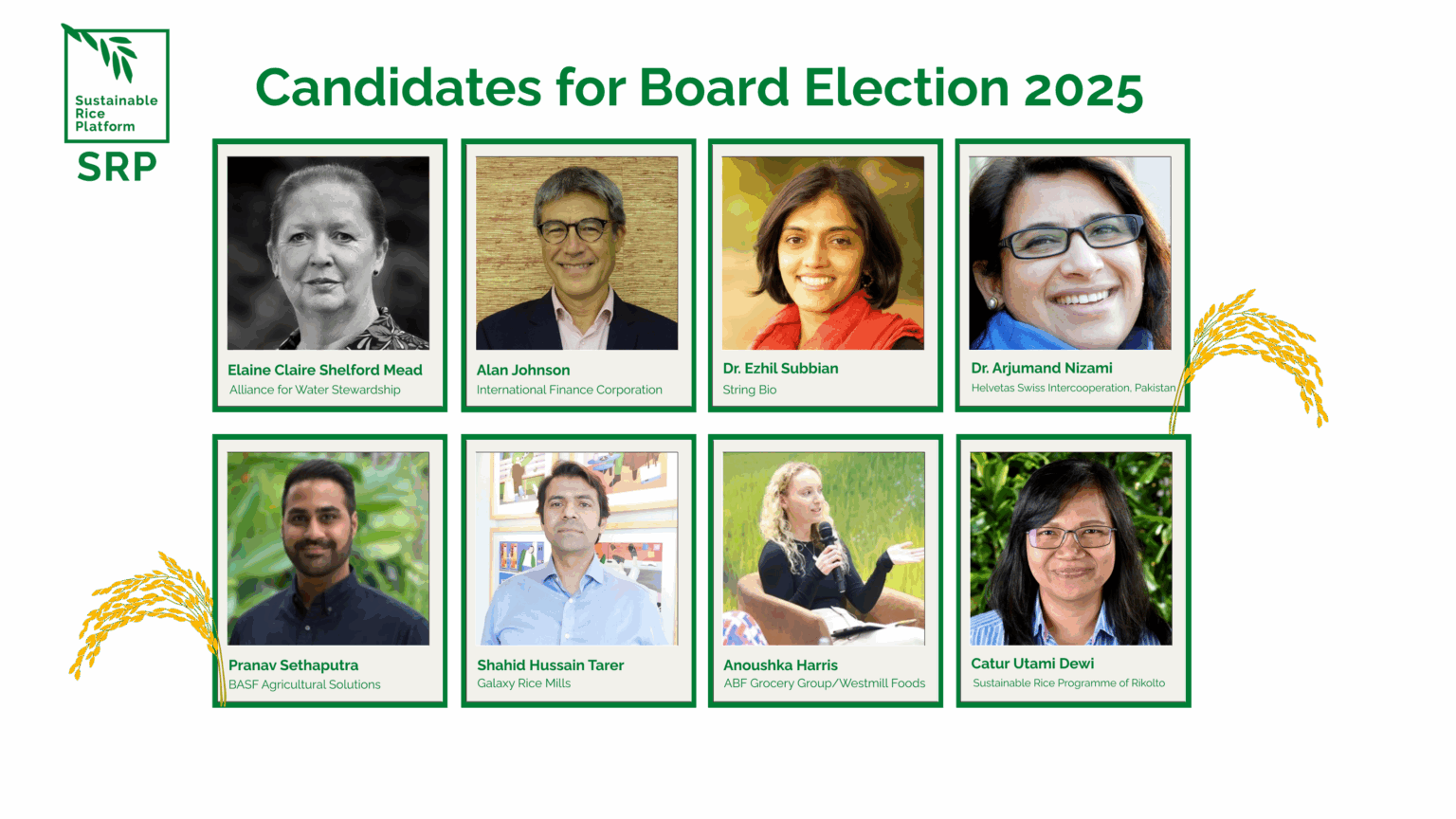 Sustainable Rice Platform (SRP) Strengthens Collaboration with Thai ...