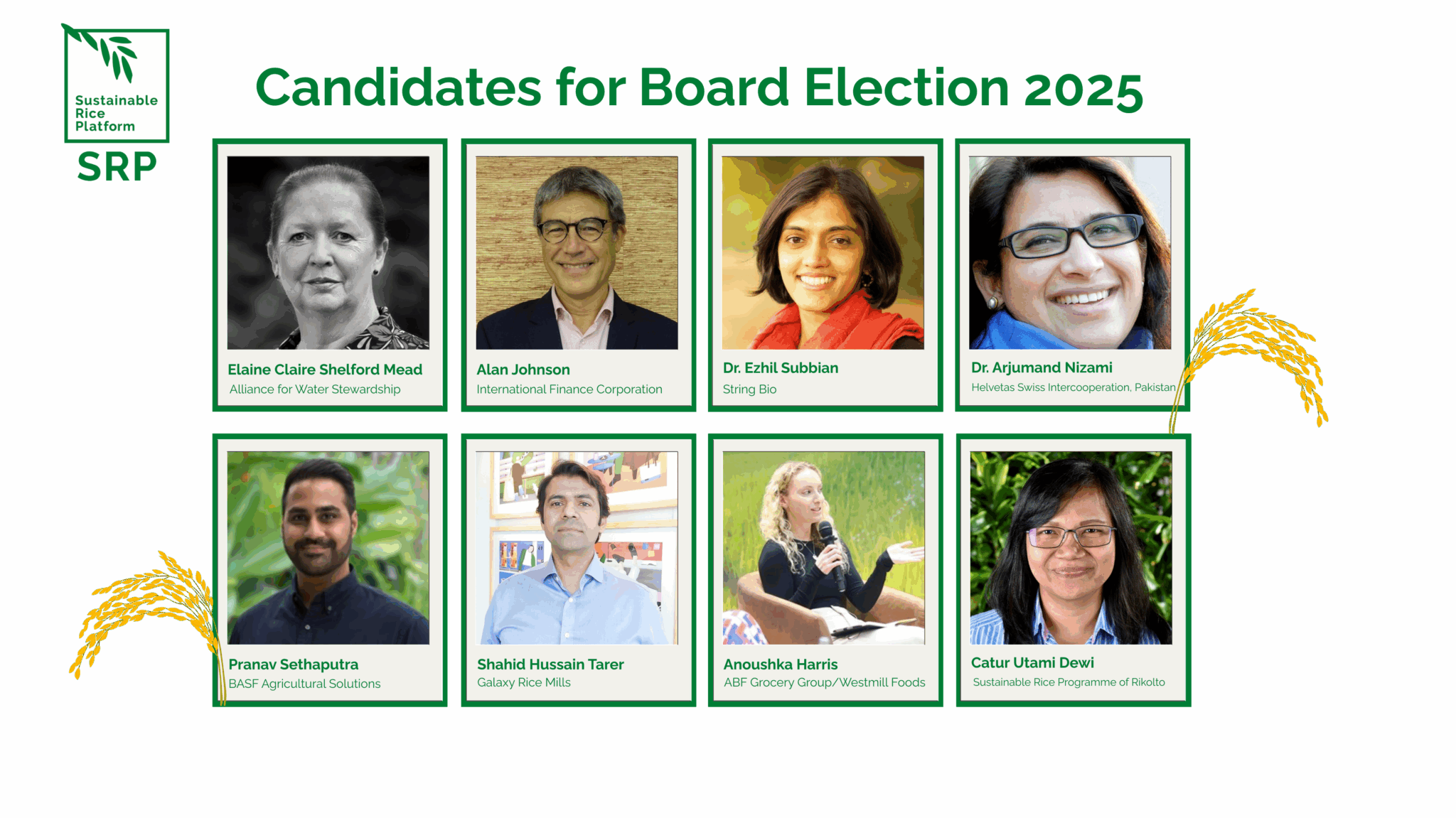 Sustainable Rice Platform (SRP) Strengthens Collaboration with Thai ...