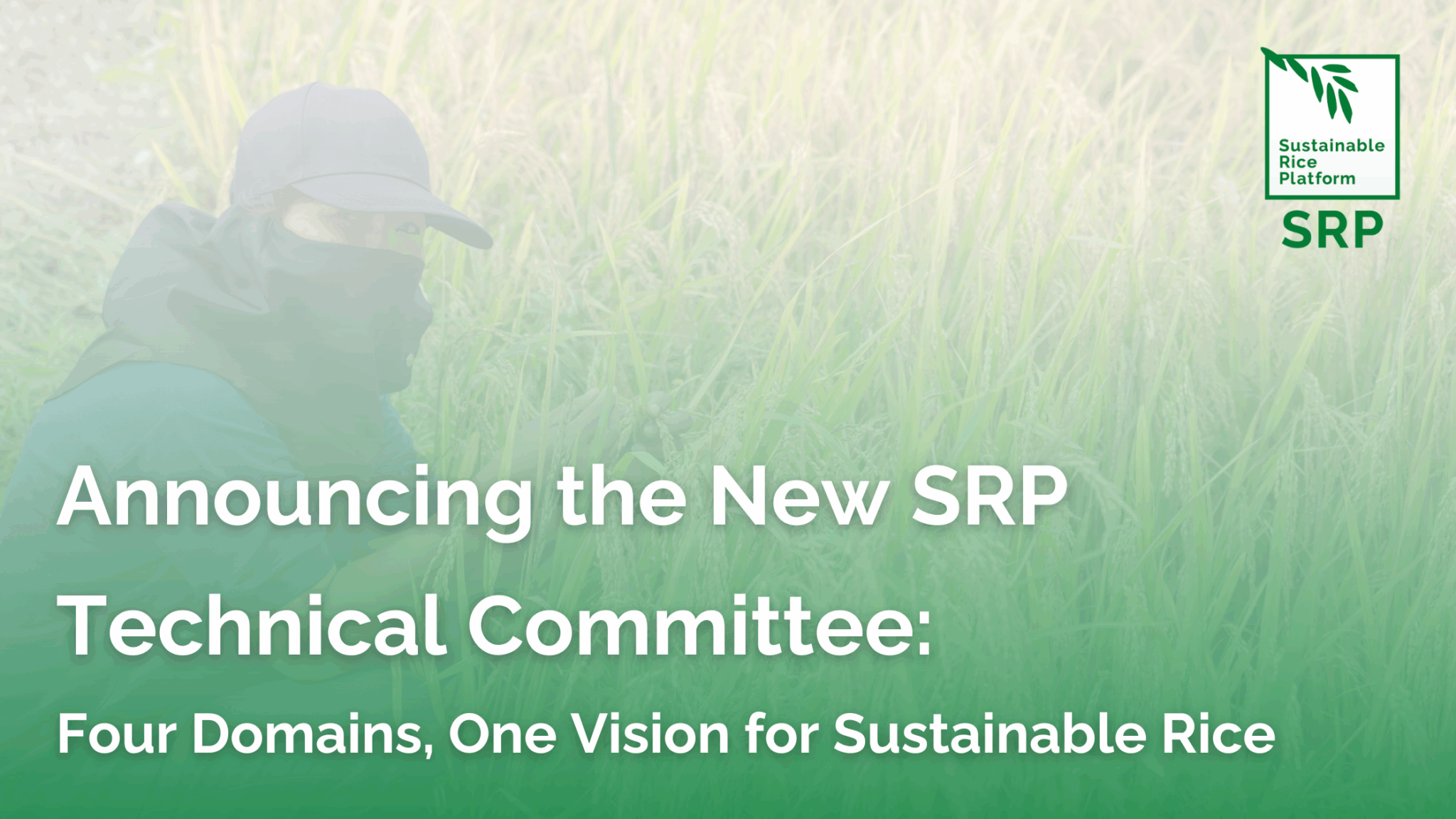 Announcing the New SRP Technical Committee – Sustainable Rice Platform ...
